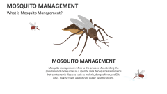 Mosquito Management PowerPoint and Google Slides Template - PPT Slides