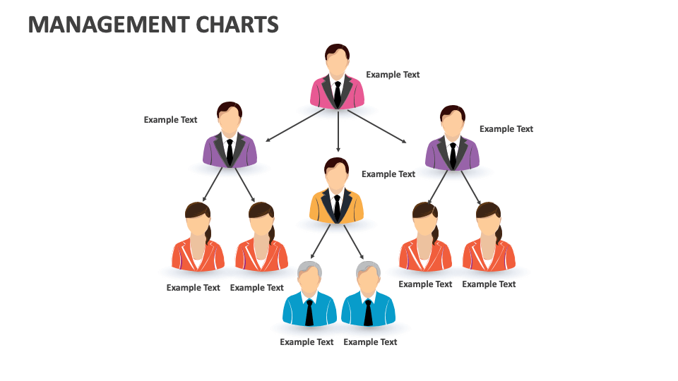 Management Charts Template for PowerPoint and Google Slides - PPT Slides