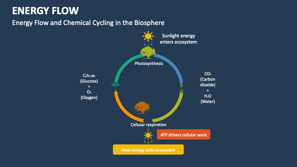 Energy Flow Template for PowerPoint and Google Slides - PPT Slides