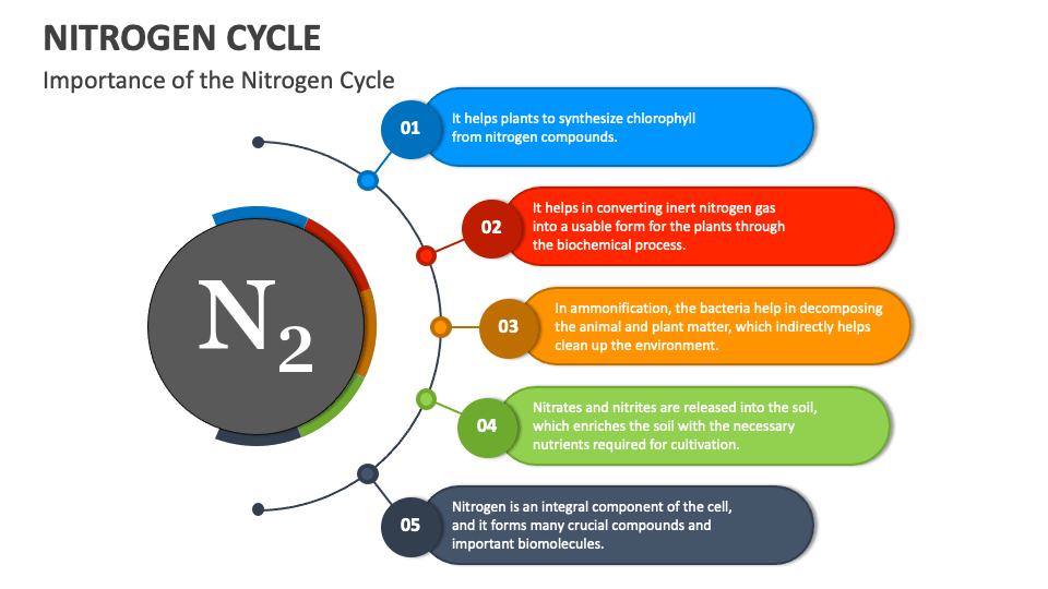 Nitrogen Cycle PowerPoint and Google Slides Template - PPT Slides