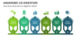 Anaerobic Co-Digestion PowerPoint and Google Slides Template - PPT Slides