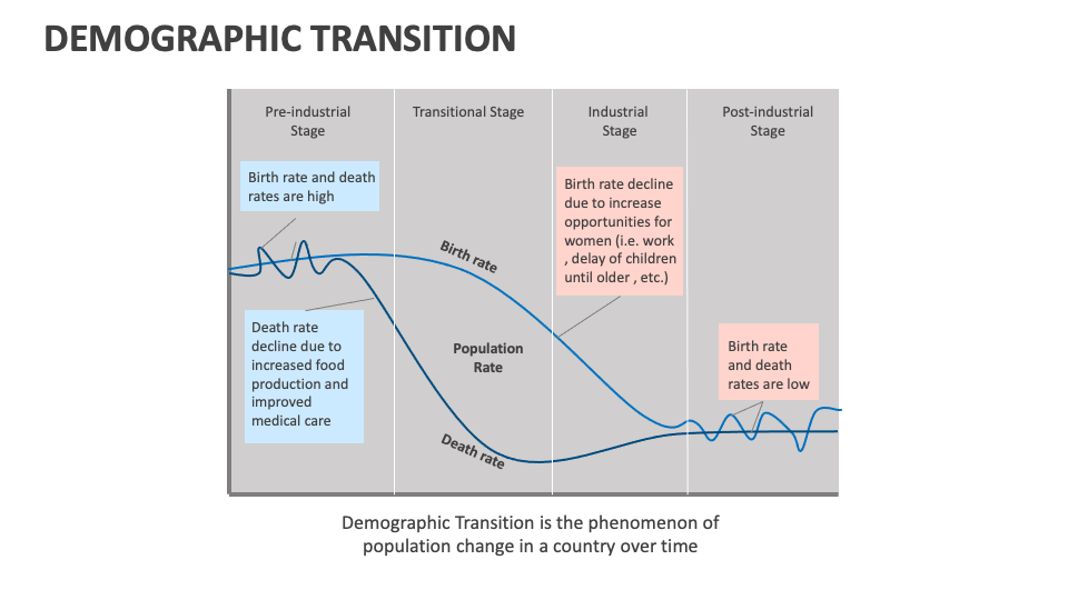 Demographic Transition Template for PowerPoint and Google Slides - PPT Slides