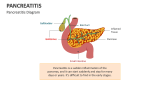 Pancreatitis PowerPoint and Google Slides Template - PPT Slides