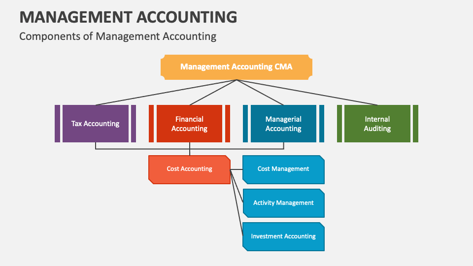 Management Accounting PowerPoint and Google Slides Template - PPT Slides