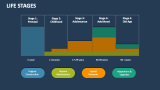 Life Stages Template for PowerPoint and Google Slides - PPT Slides