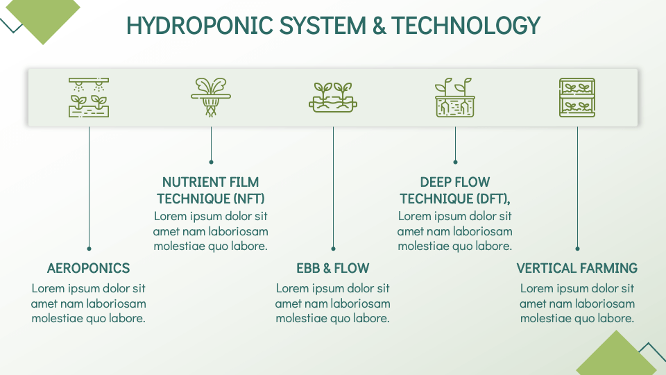 Hydroponic Farming Business Plan Template for Google Slides and PowerPoint - PPT Slides