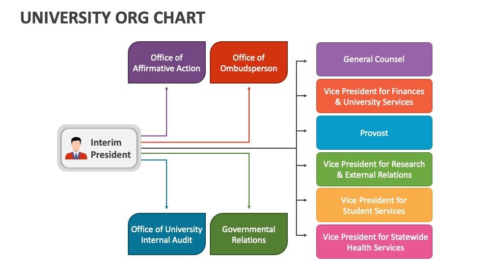 University Org Chart PowerPoint and Google Slides Template - PPT Slides