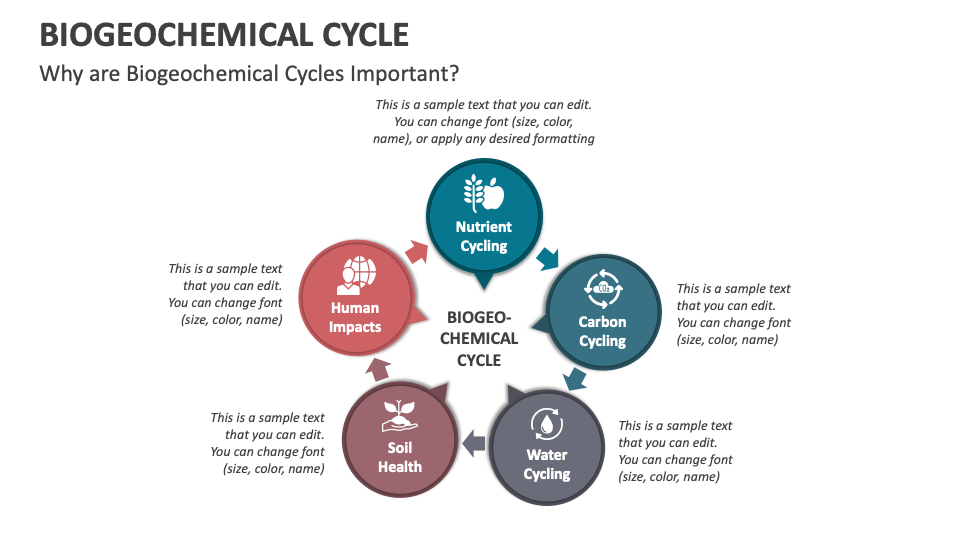 Biogeochemical Cycle PowerPoint and Google Slides Template - PPT Slides Biogeochemical Cycle PowerPoint and Google Slides Template - PPT Slides