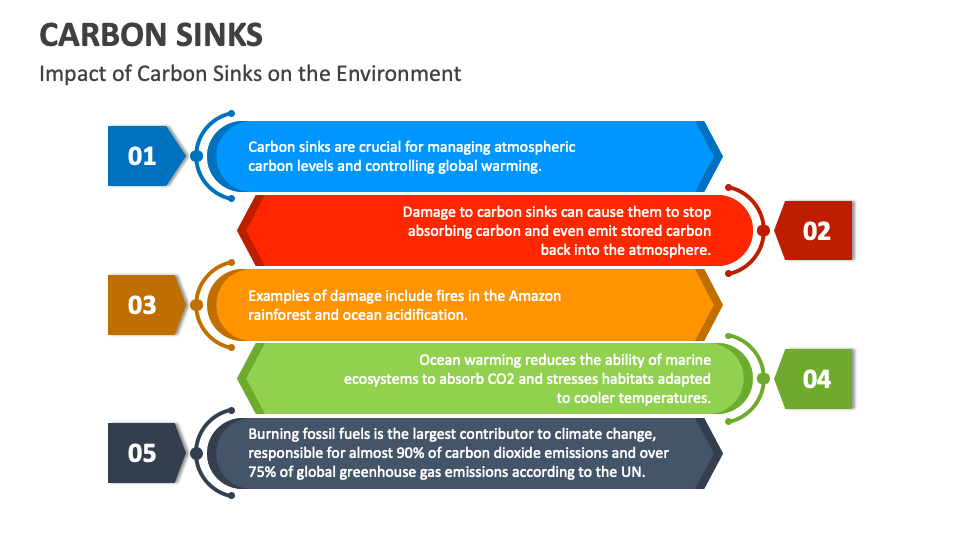 Carbon Sinks PowerPoint and Google Slides Template - PPT Slides