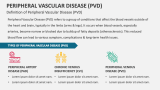 Peripheral Vascular Disease (PVD) Template for Google Slides and ...