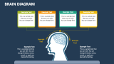 Brain Diagram for PowerPoint and Google Slides - PPT Slides