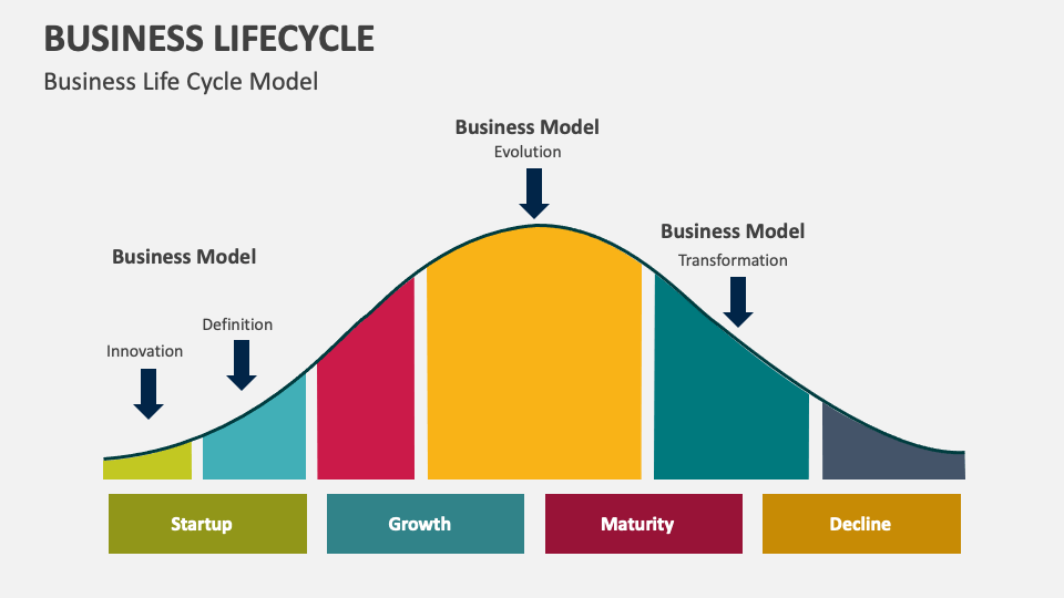 Business Lifecycle Template for PowerPoint and Google Slides - PPT Slides