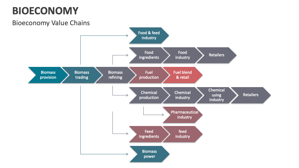 Bioeconomy Template for PowerPoint and Google Slides - PPT Slides