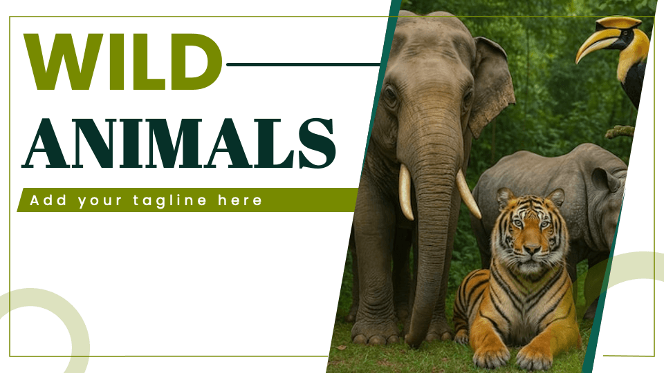 Free - Wild Animals Template for Google Slides and PowerPoint - PPT Slides