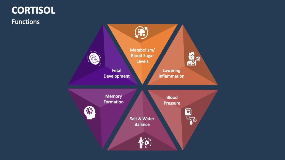Cortisol PowerPoint and Google Slides Template - PPT Slides