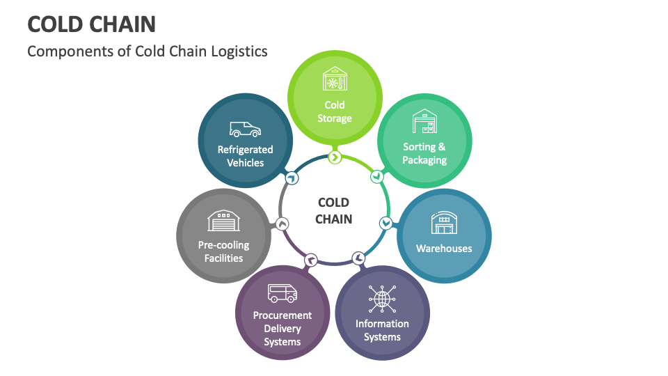 Cold Chain PowerPoint and Google Slides Template - PPT Slides