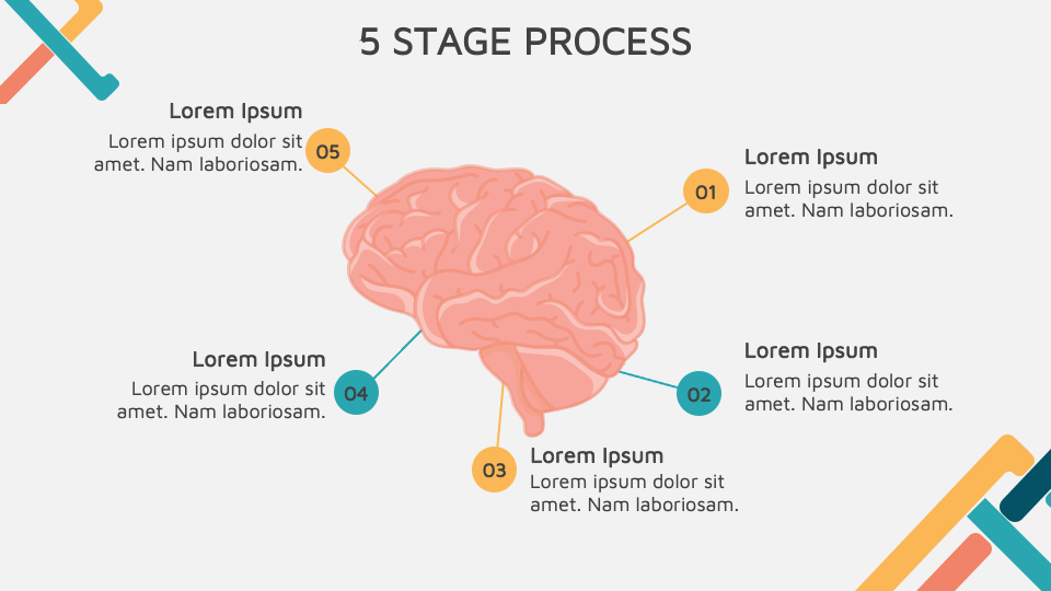 Brain Presentation Theme for PowerPoint and Google Slides - PPT Slides