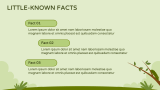 Free Caterpillar Presentation for Google Slides and PowerPoint