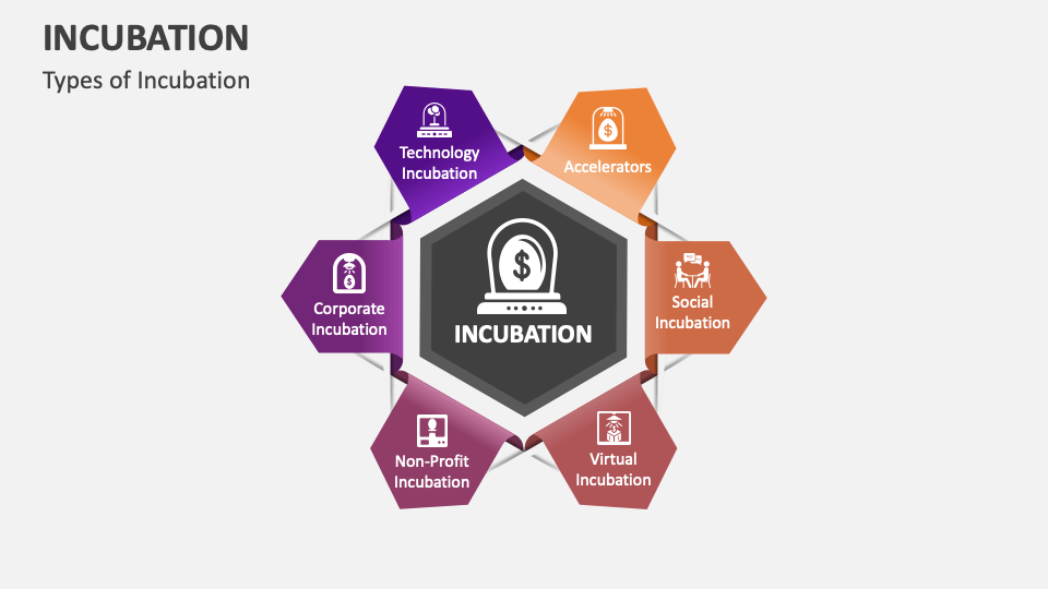 Incubation PowerPoint and Google Slides Template - PPT Slides