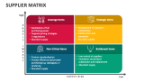 Supplier Matrix PowerPoint and Google Slides Template - PPT Slides