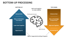 Bottom-Up Processing PowerPoint and Google Slides Template - PPT Slides