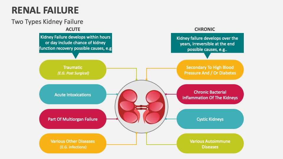 Renal Failure PowerPoint and Google Slides Template - PPT Slides