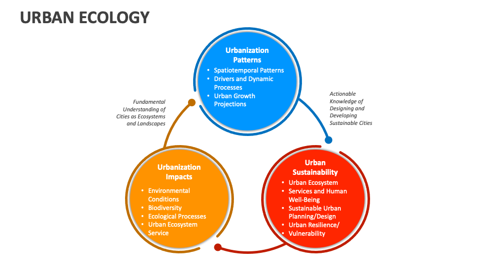 Urban Ecology PowerPoint and Google Slides Template - PPT Slides