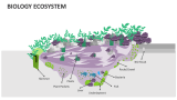 Biology Ecosystem PowerPoint and Google Slides Template - PPT Slides