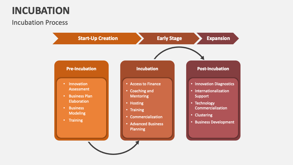 Incubation PowerPoint and Google Slides Template - PPT Slides