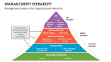 Management Hierarchy PowerPoint and Google Slides Template - PPT Slides
