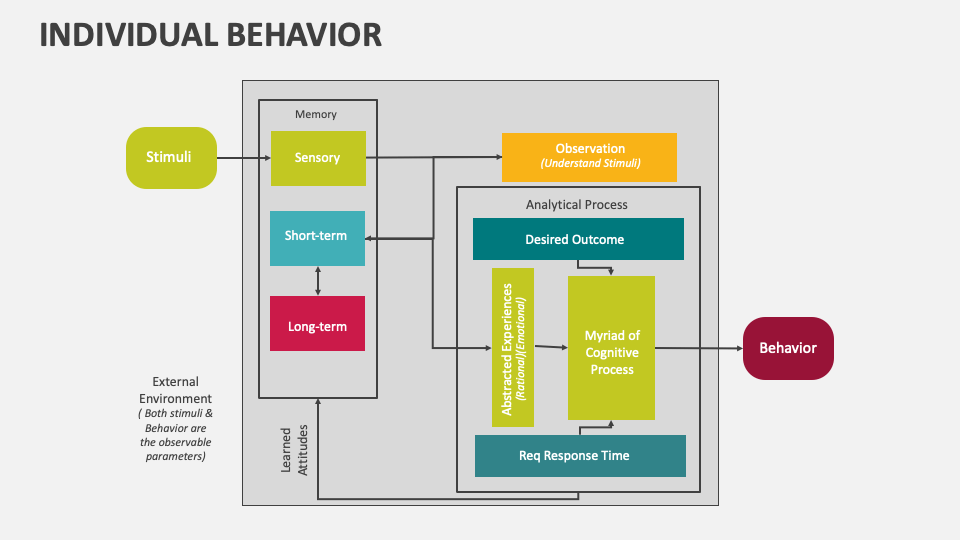 Individual Behavior Template for PowerPoint and Google Slides - PPT Slides