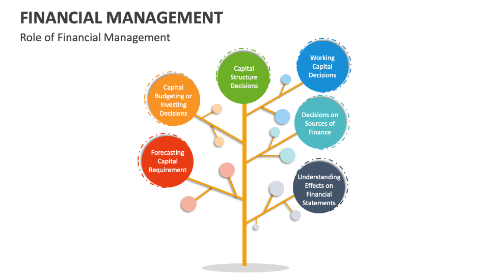 Financial Management Template for PowerPoint and Google Slides - PPT Slides