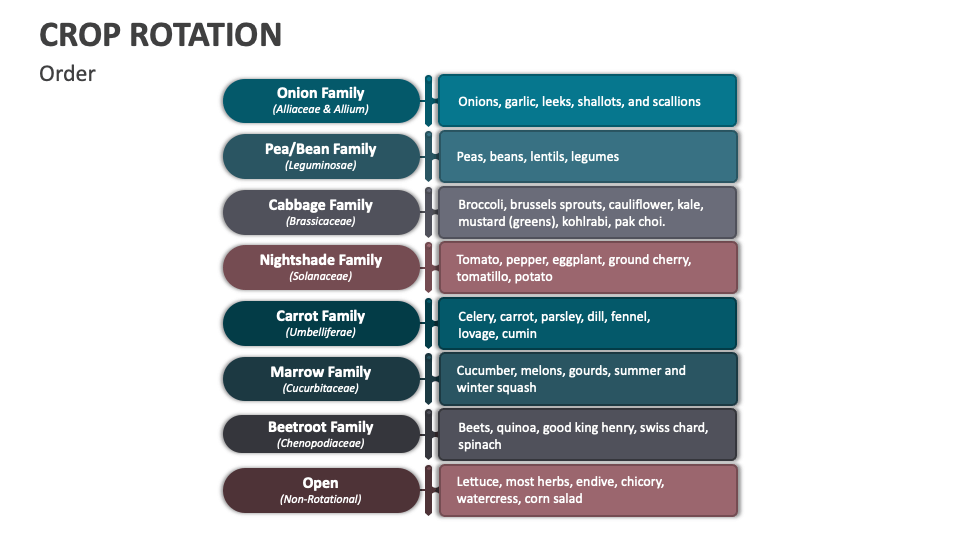Crop Rotation PowerPoint and Google Slides Template - PPT Slides