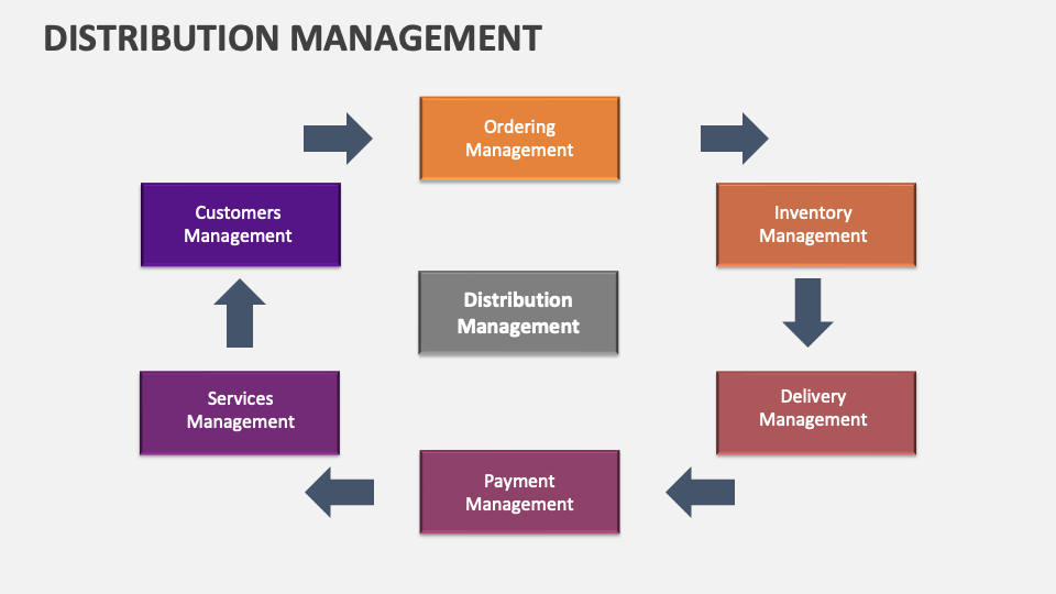 Distribution Management Template for PowerPoint and Google Slides - PPT ...