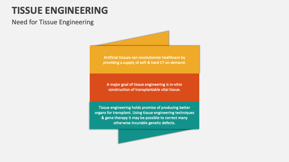 Tissue Engineering Template for PowerPoint and Google Slides - PPT Slides