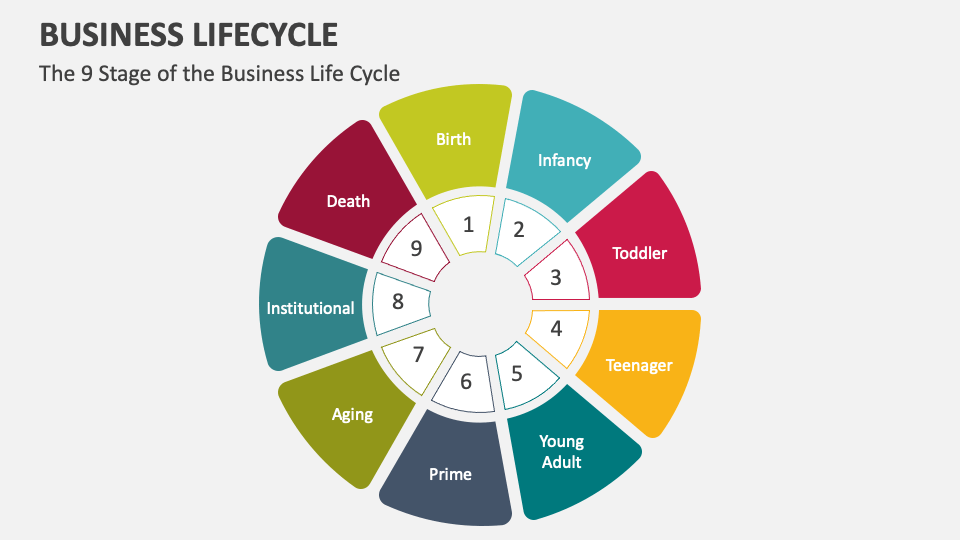 Business Lifecycle Template for PowerPoint and Google Slides - PPT Slides