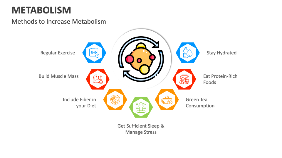 Metabolism Template for Google Slides and PowerPoint - PPT Slides