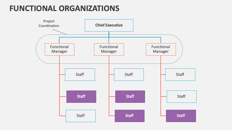 Functional Organizations Template for PowerPoint and Google Slides ...