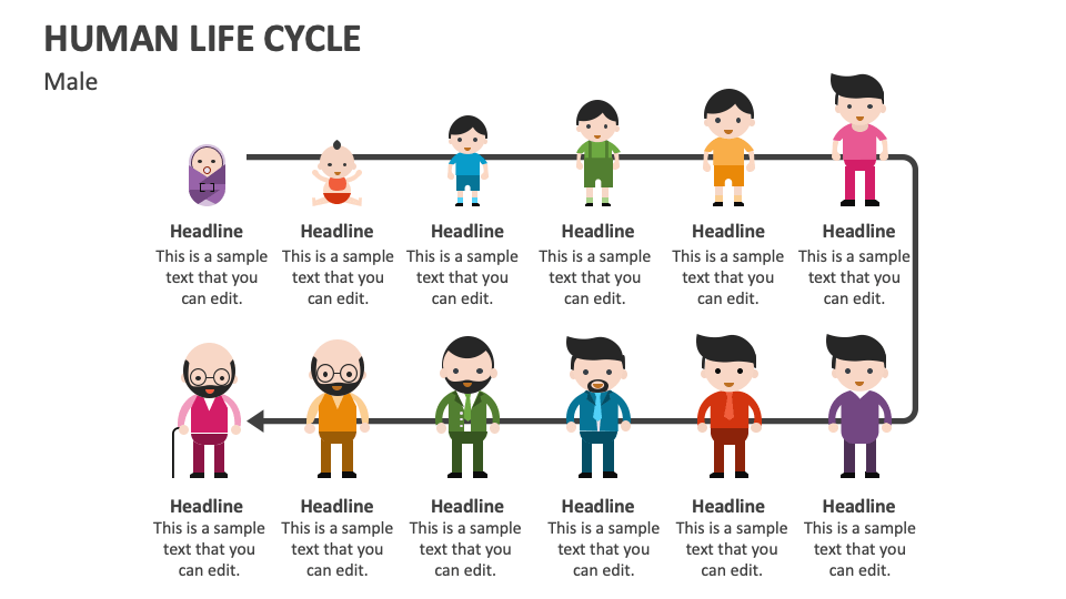 Human Life Cycle PowerPoint and Google Slides Template - PPT Slides Human Life Cycle PowerPoint and Google Slides Template - PPT Slides