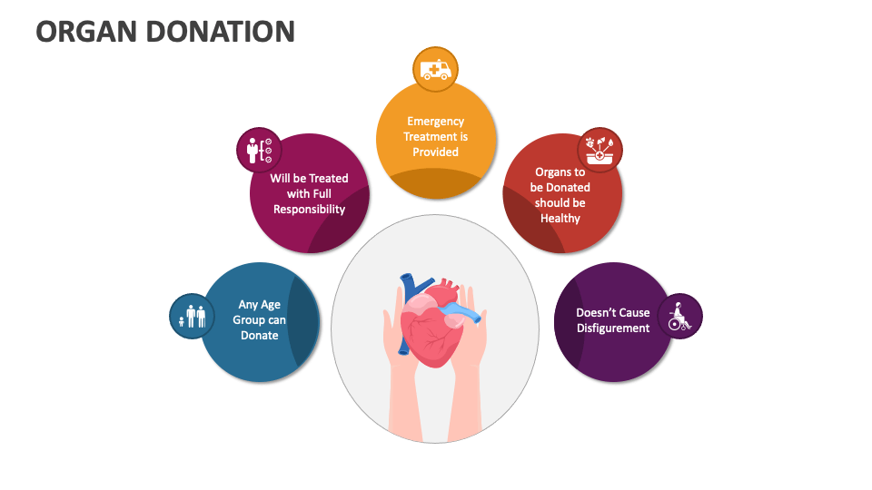 Organ Donation PowerPoint and Google Slides Template - PPT Slides