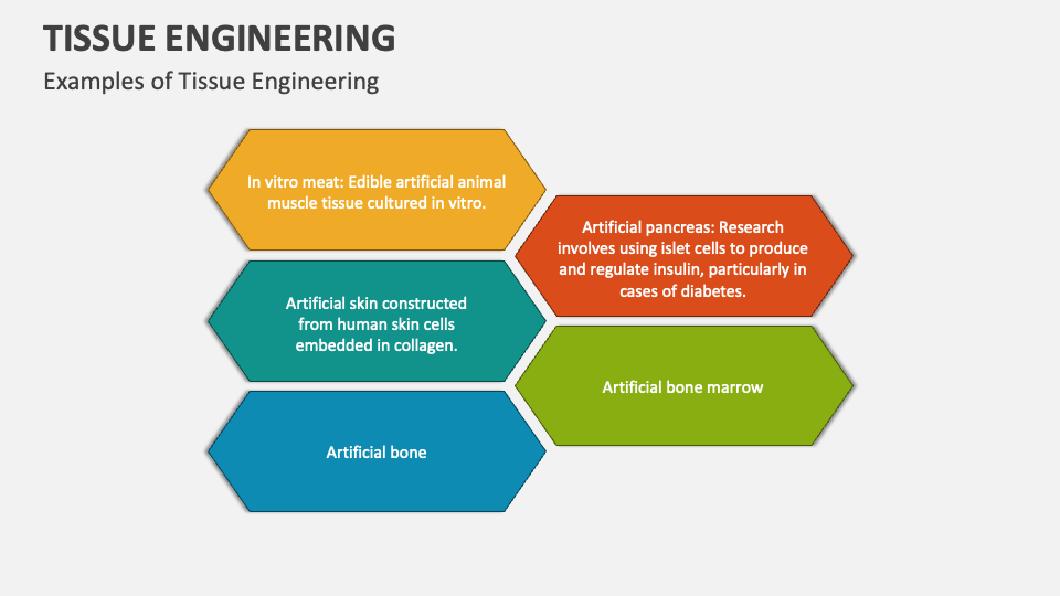 Tissue Engineering Template for PowerPoint and Google Slides - PPT Slides