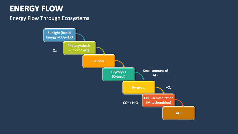 Energy Flow Template for PowerPoint and Google Slides - PPT Slides