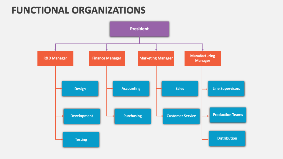 Functional Organizations Template for PowerPoint and Google Slides ...