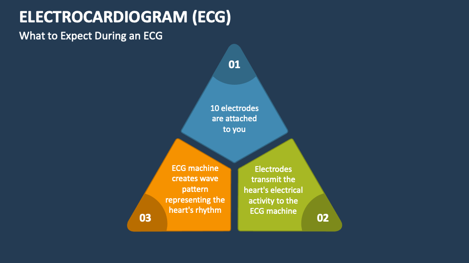 Electrocardiogram (ECG) PowerPoint and Google Slides Template - PPT Slides