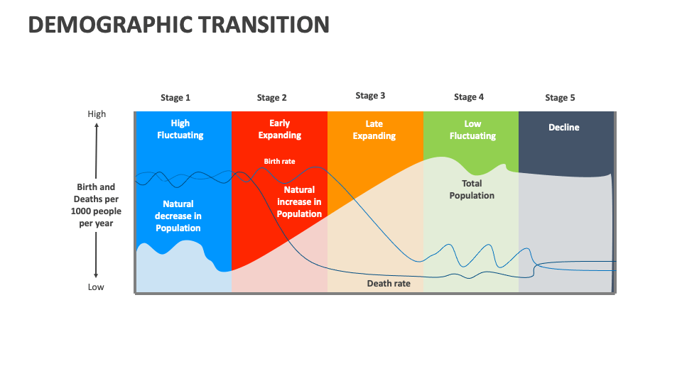 Demographic Transition Template for PowerPoint and Google Slides - PPT Slides