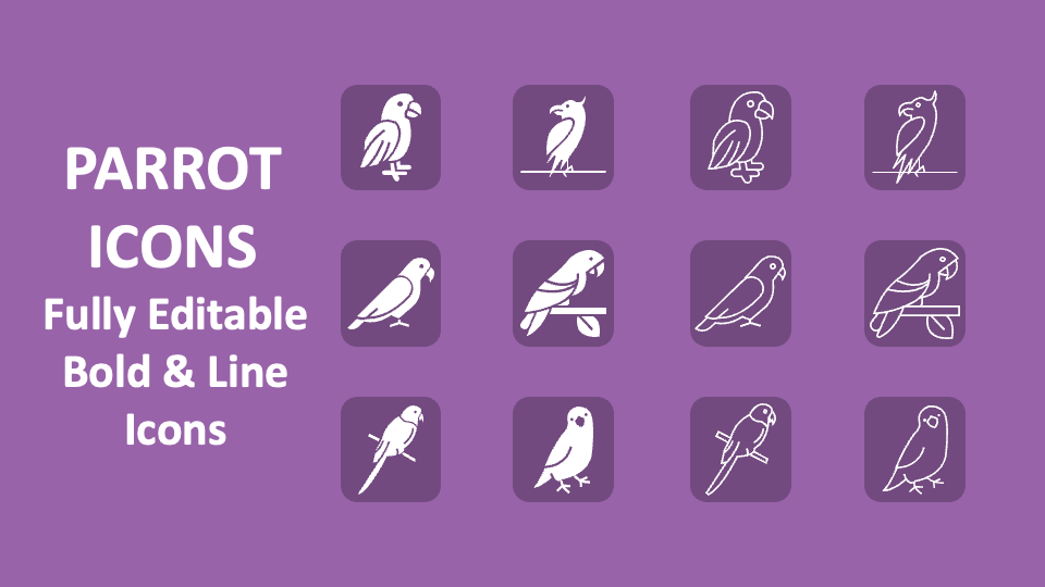 Parrot Icons for PowerPoint and Google Slides - PPT Slides
