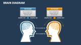 Brain Diagram for PowerPoint and Google Slides - PPT Slides