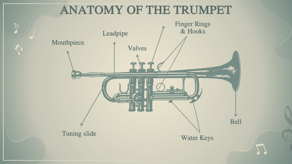Free Trumpet Theme for Google Slides and PowerPoint