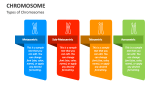 Chromosome PowerPoint and Google Slides Template - PPT Slides
