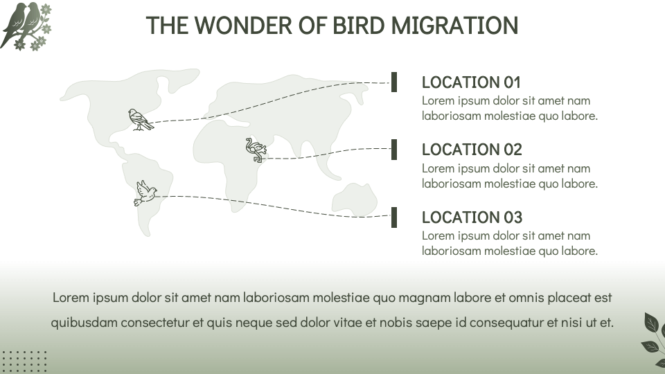 Free - Birds Presentation Template for Google Slides and PowerPoint ...